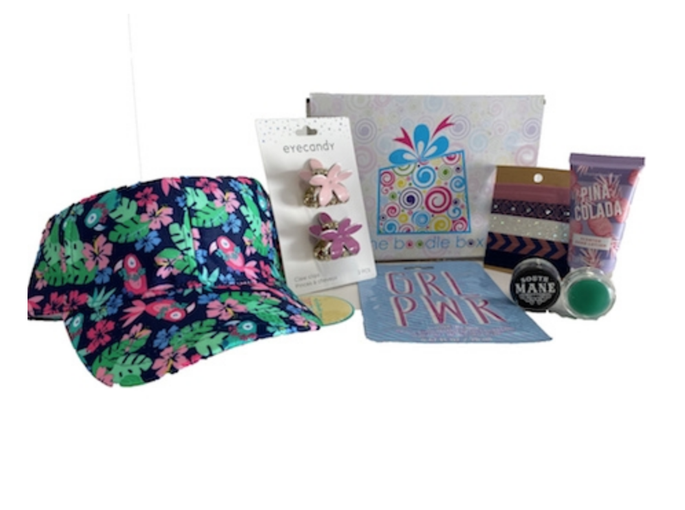 The Boodle Box Reviews: Get All The Details At Hello Subscription!