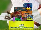 Surprise My Pet - Dog Reviews: Get All The Details At Hello Subscription!