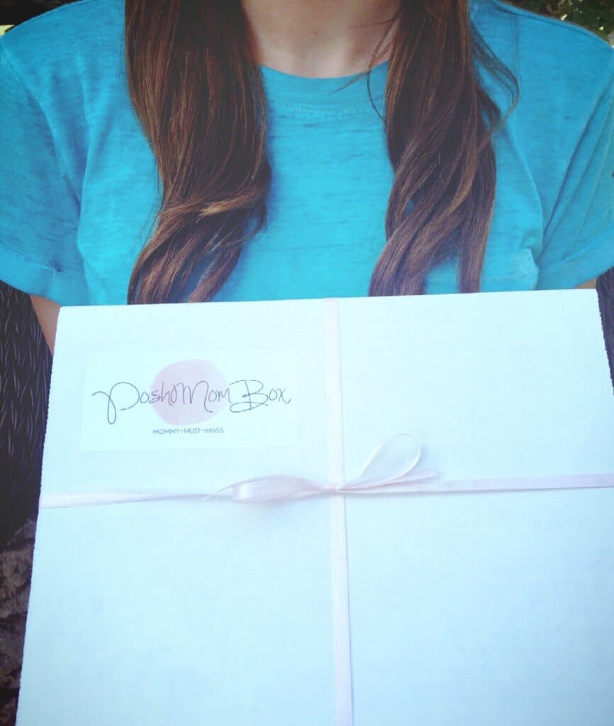 Posh Mom Box Reviews: Get All The Details At Hello Subscription!