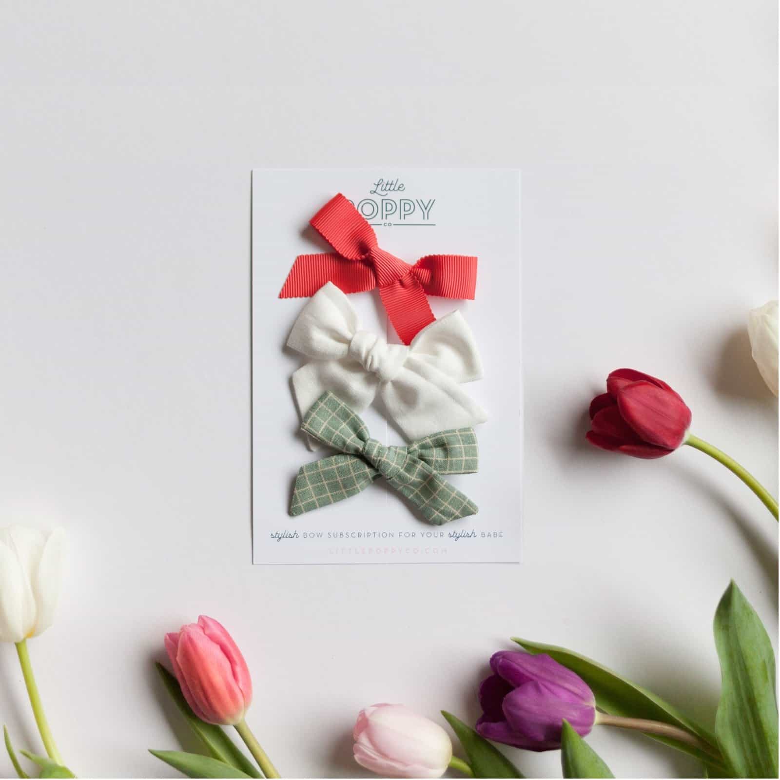 Little Poppy Co. Reviews: Get All The Details At Hello Subscription!