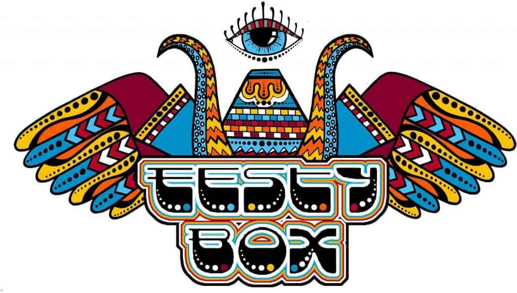 Festy Box Reviews: Get All The Details At Hello Subscription!