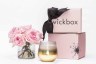 Wickbox Reviews: Get All The Details At Hello Subscription!