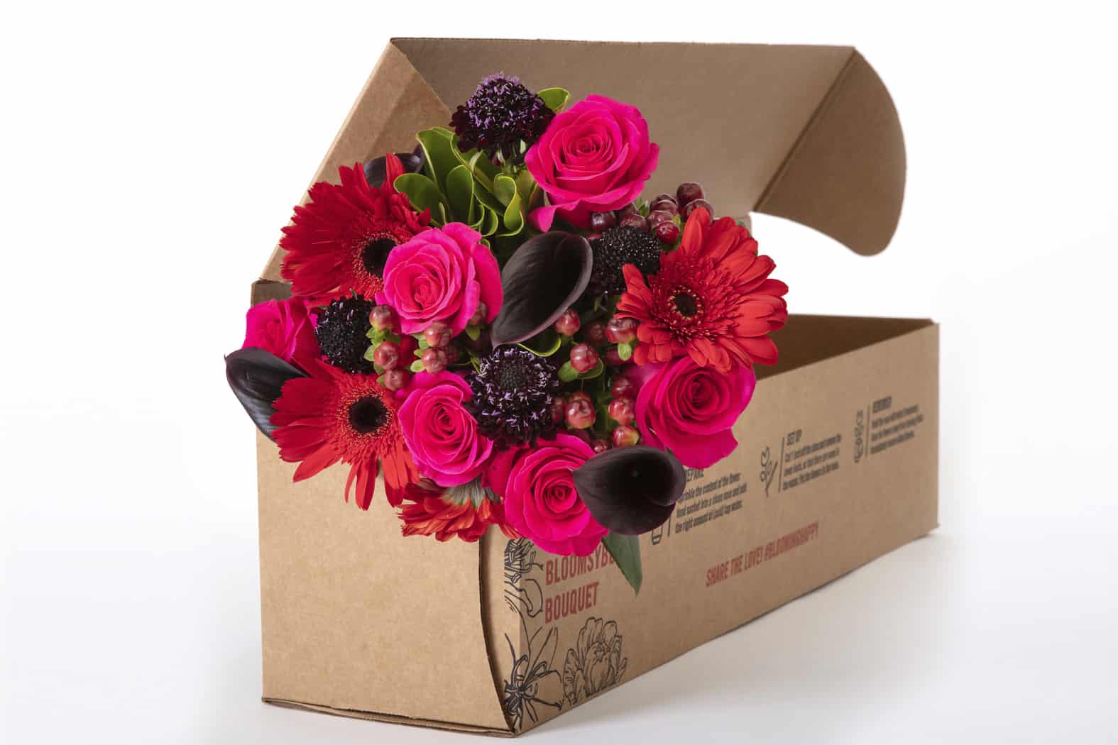 BloomsyBox Reviews: Get All The Details At Hello Subscription!