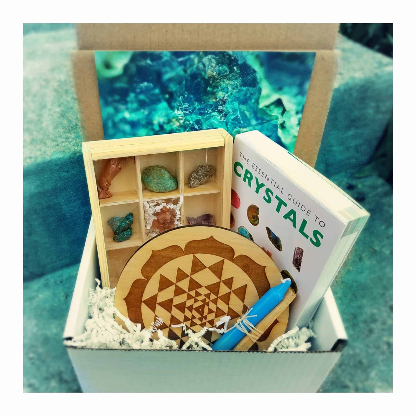 WEvolve Box Reviews: Get All The Details At Hello Subscription!