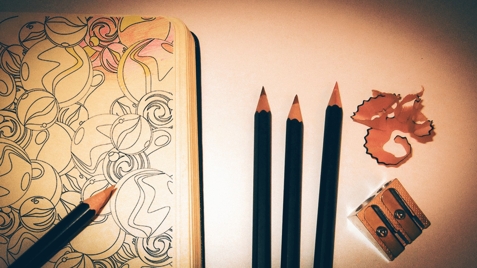 The Color Carton Reviews: Get All The Details At Hello Subscription!