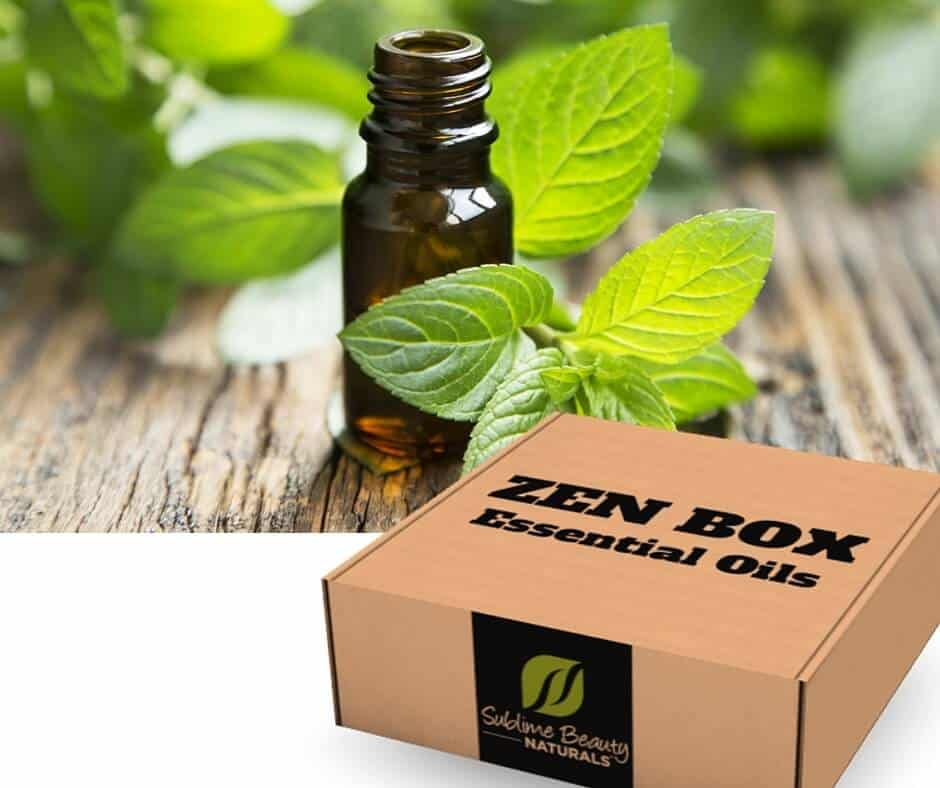 Zen Box Reviews: Get All The Details At Hello Subscription!