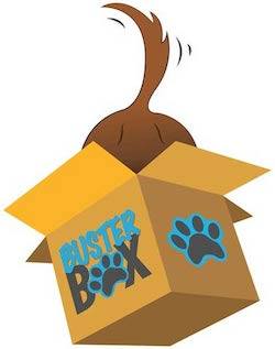 Buster Box Reviews: Get All The Details At Hello Subscription!