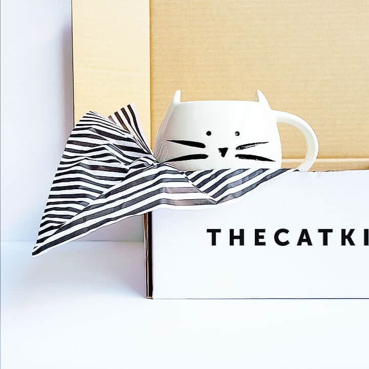 The Cat Kit Reviews: Get All The Details At Hello Subscription!