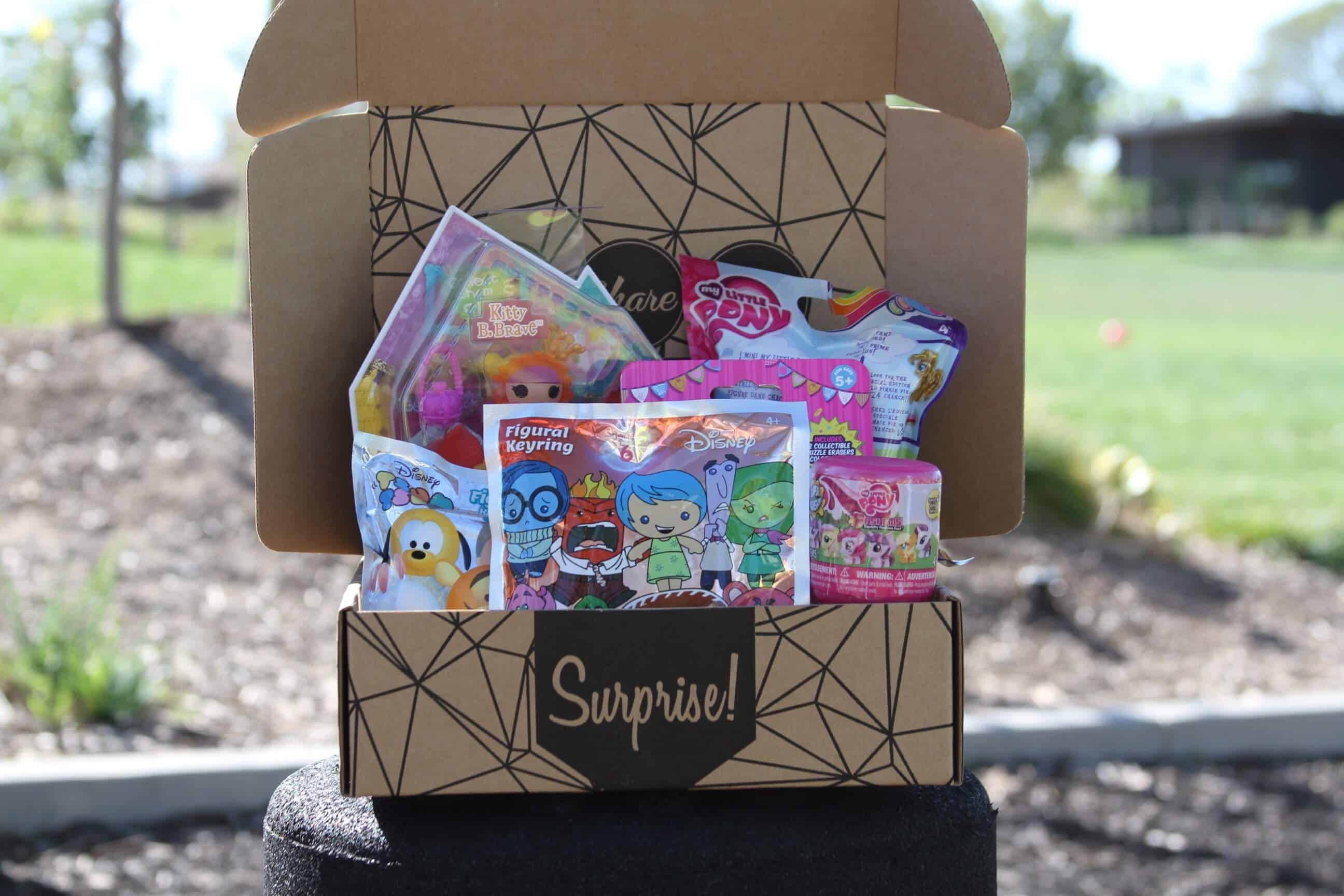 Toy Box Monthly Reviews: Get All The Details At Hello Subscription!