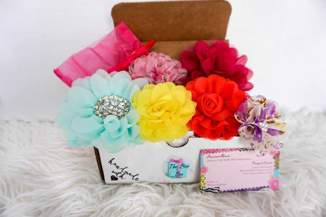 OMG Box by She Swank | Too Reviews: Get All The Details At Hello ...