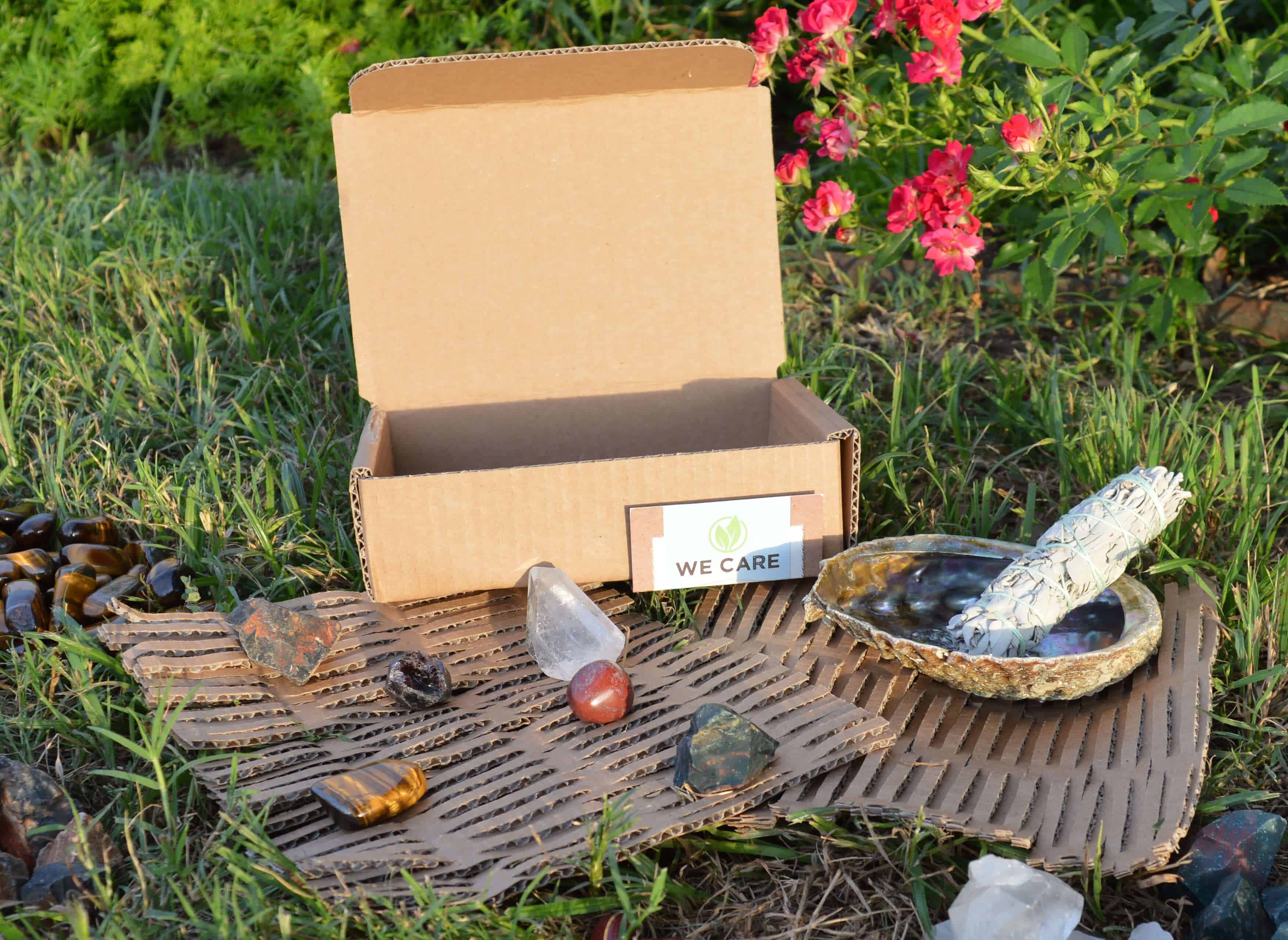 Amity Elements Reviews: Get All The Details At Hello Subscription!