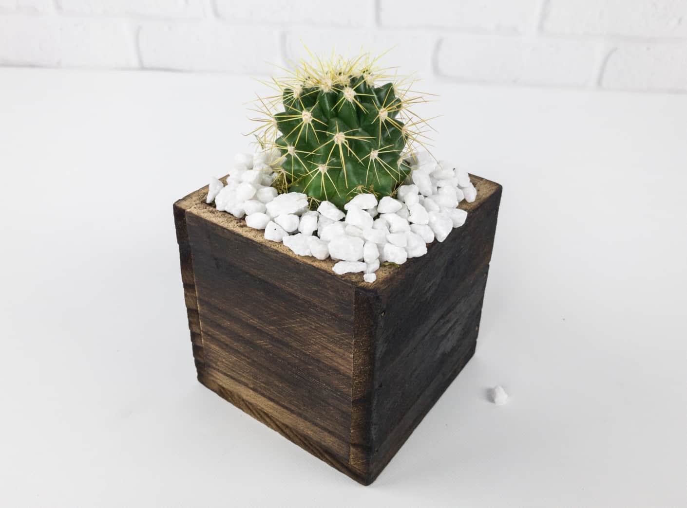 The Desert Box Reviews: Get All The Details At Hello Subscription!