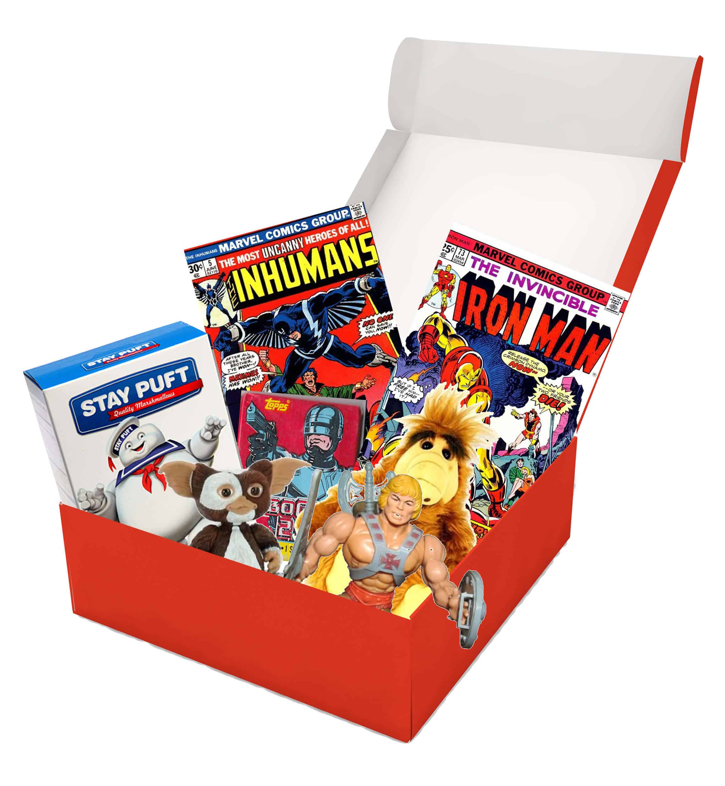 Totally Rad Box Reviews: Get All The Details At Hello Subscription!