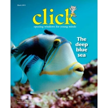 Cricket CLICK Magazine Reviews: Get All The Details At Hello Subscription!