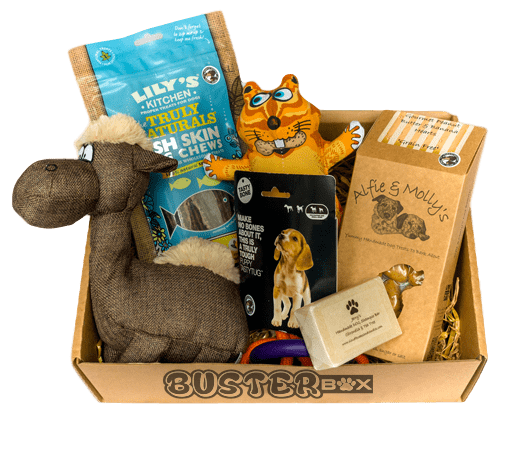 BusterBox Reviews: Get All The Details At Hello Subscription!