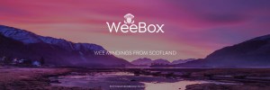 WeeBox Reviews: Get All The Details At Hello Subscription!