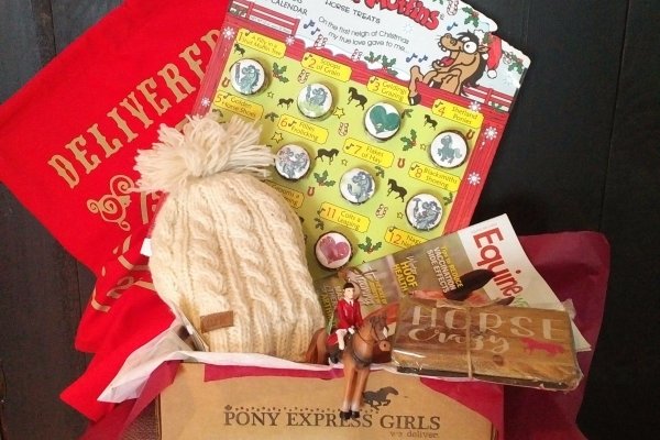 Pony Express Girls Reviews: Get All The Details At Hello Subscription!
