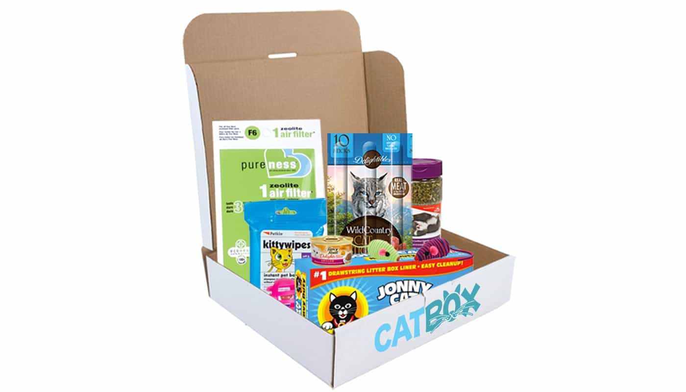 CatBox Reviews: Get All The Details At Hello Subscription!