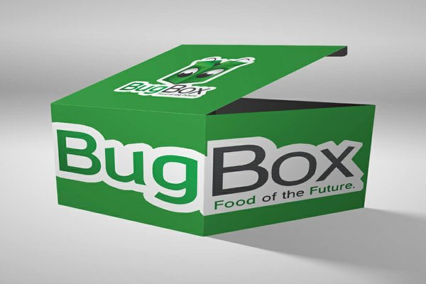 Bug Box Reviews: Get All The Details At Hello Subscription!