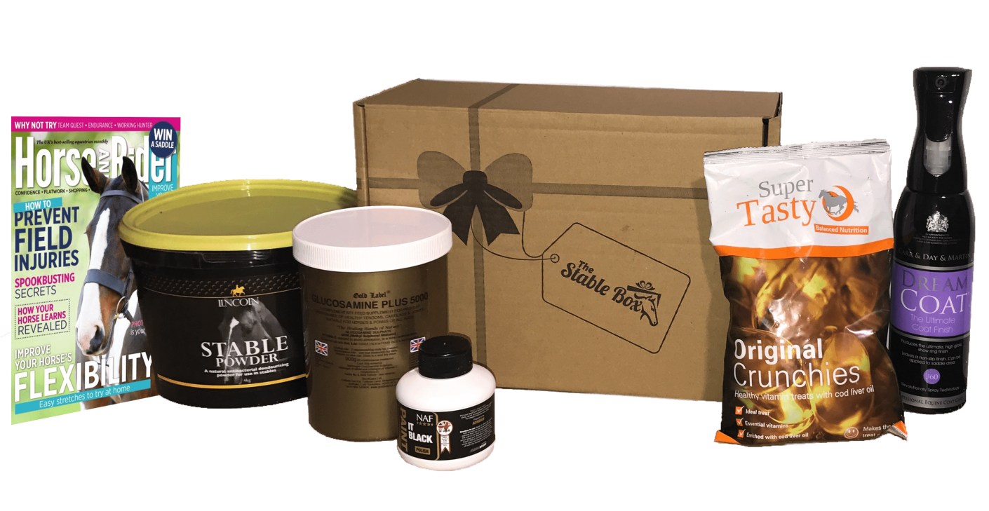 The Stable Box Reviews: Get All The Details At Hello Subscription!