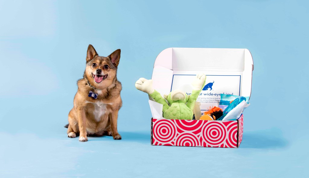 Dog Treasure Reviews: Get All The Details At Hello Subscription!