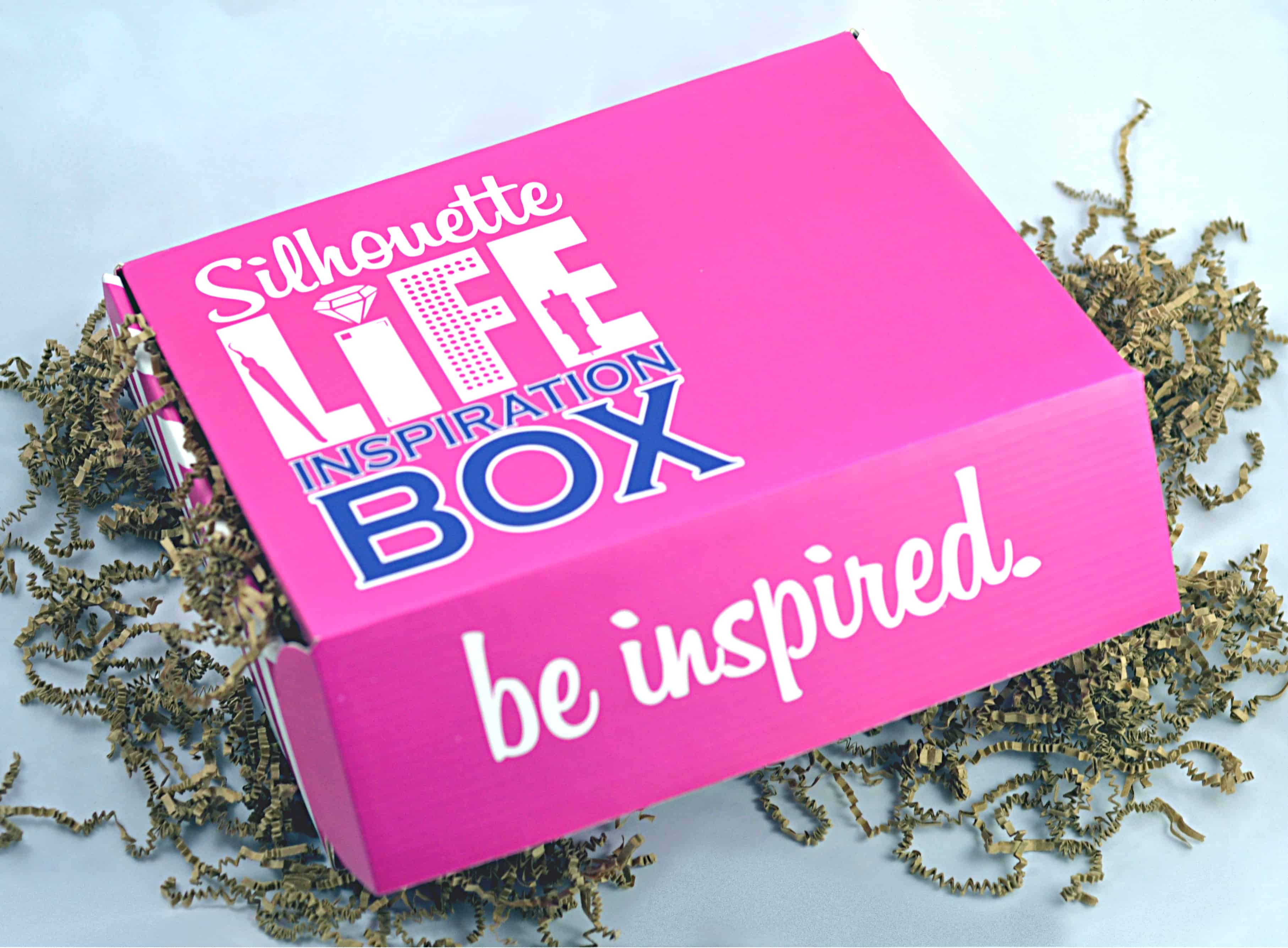 Silhouette Life Inspiration Box Reviews: Get All The Details At Hello ...