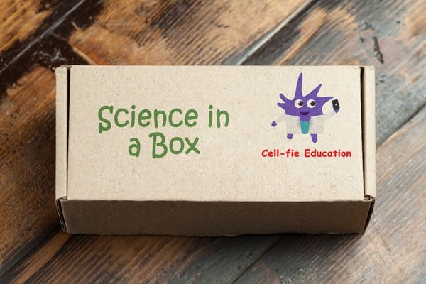 Cell-Fie Education Reviews: Get All The Details At Hello Subscription!