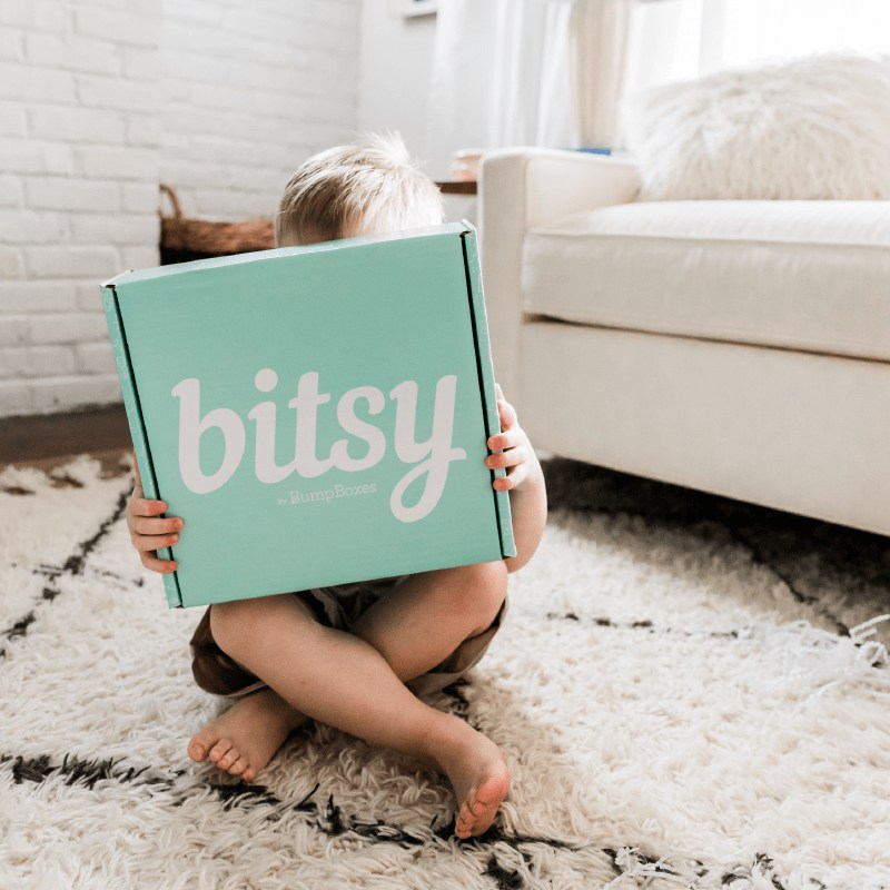 Bitsy Boxes Reviews: Get All The Details At Hello Subscription!