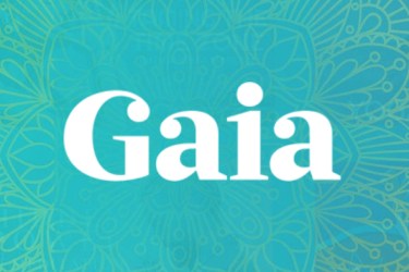 JackedPack Reviews: Get All The Details At Hello Subscription!