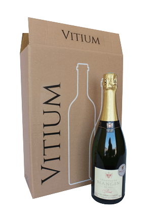 Vitium Club Reviews: Get All The Details At Hello Subscription!