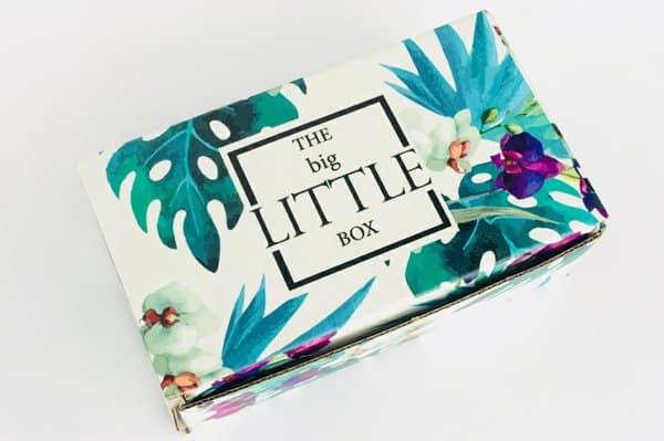 The Big Little Box Reviews: Get All The Details At Hello Subscription!