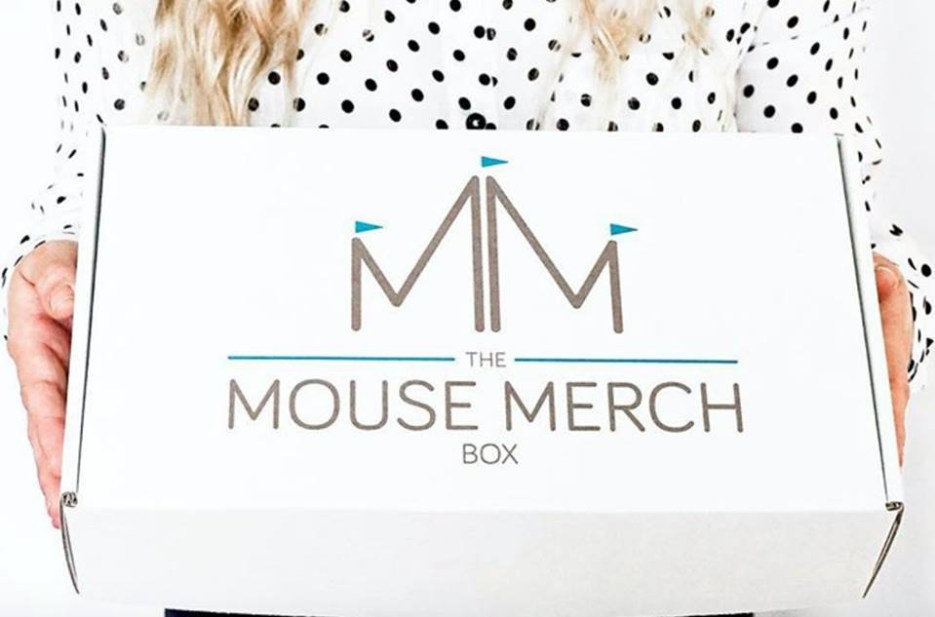 The Mouse Merch Box Reviews: Get All The Details At Hello Subscription!