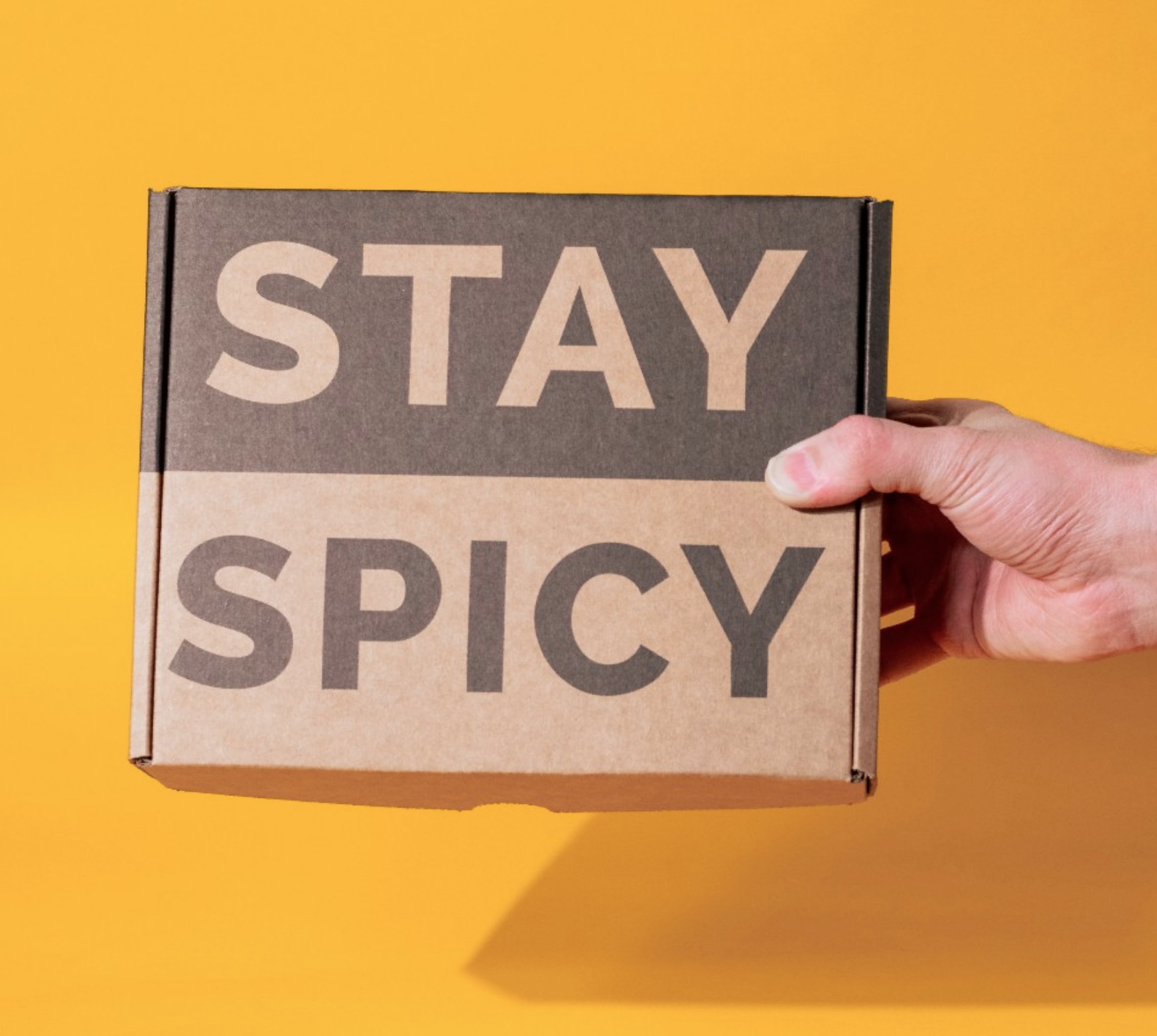 HEATONIST Reviews: Get All The Details At Hello Subscription!