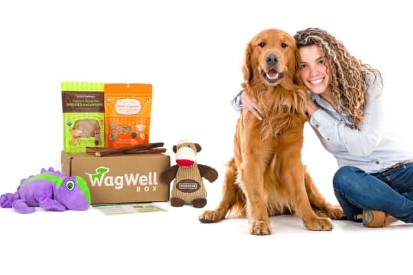 WagWell Box Reviews: Get All The Details At Hello Subscription!