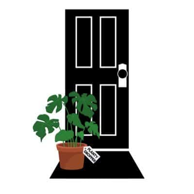 Planty Dropper Co. Reviews: Get All The Details At Hello Subscription!