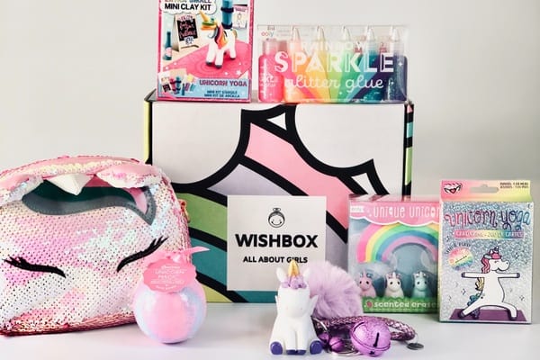 WISHBOX Reviews: Get All The Details At Hello Subscription!