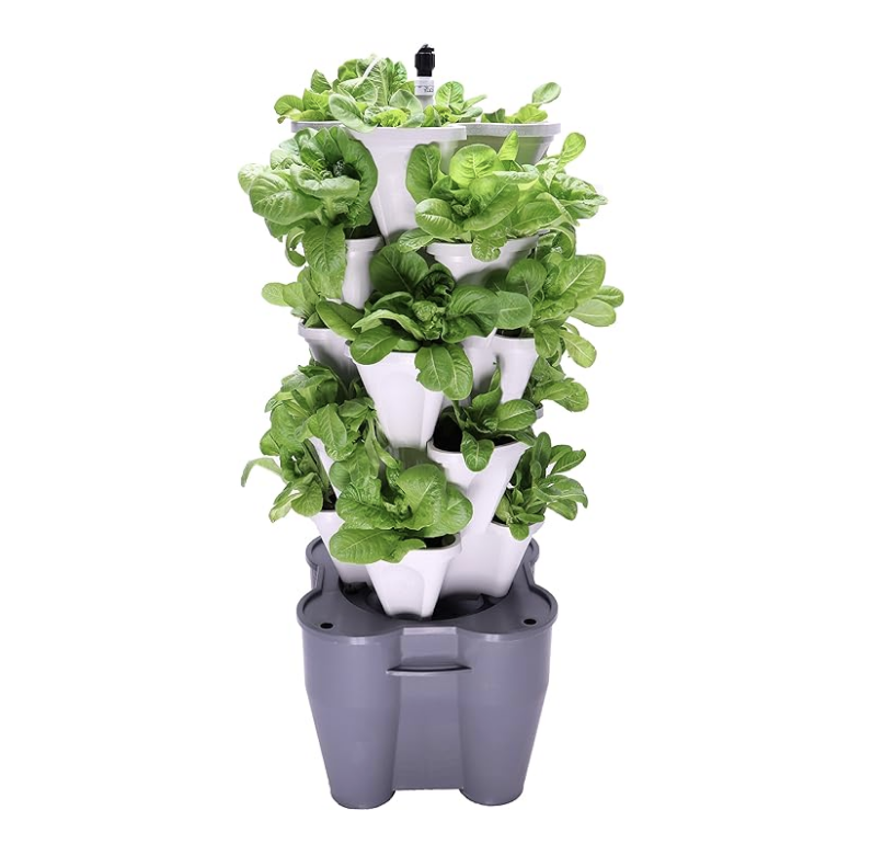 Mr. Stacky Reviews: Get All The Details At Hello Subscription!