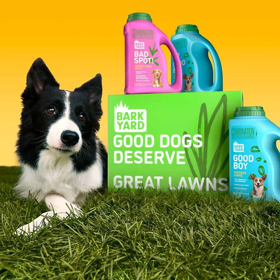 BarkYard Reviews: Get All The Details At Hello Subscription!