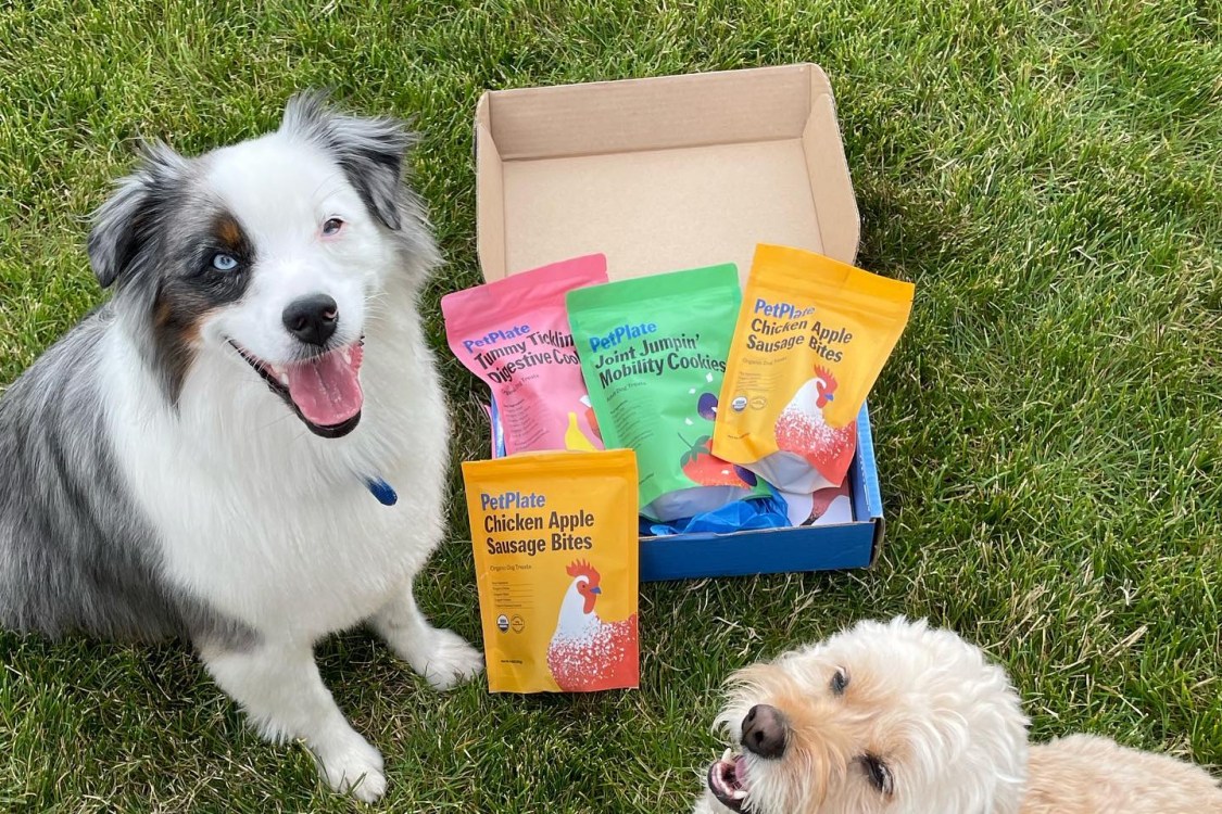 Subscription Boxes for Pets