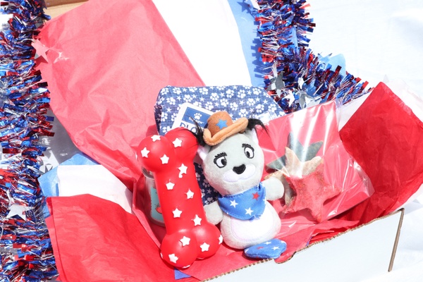 The Doggish Life Reviews: Get All The Details At Hello Subscription!