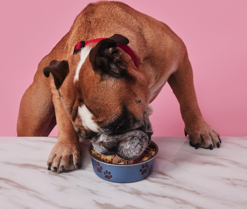 Kabo Reviews: Get All The Details At Hello Subscription!