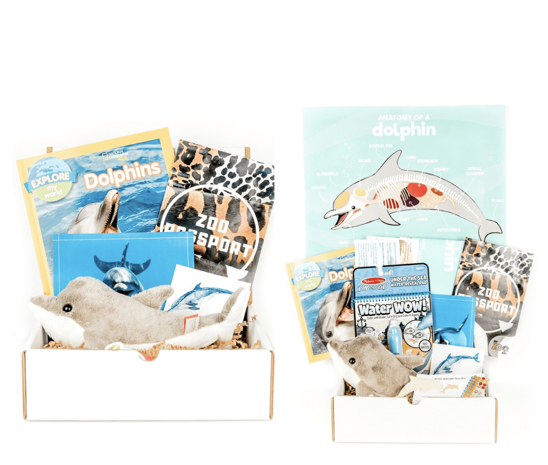 My ZOO Box Reviews: Get All The Details At Hello Subscription!