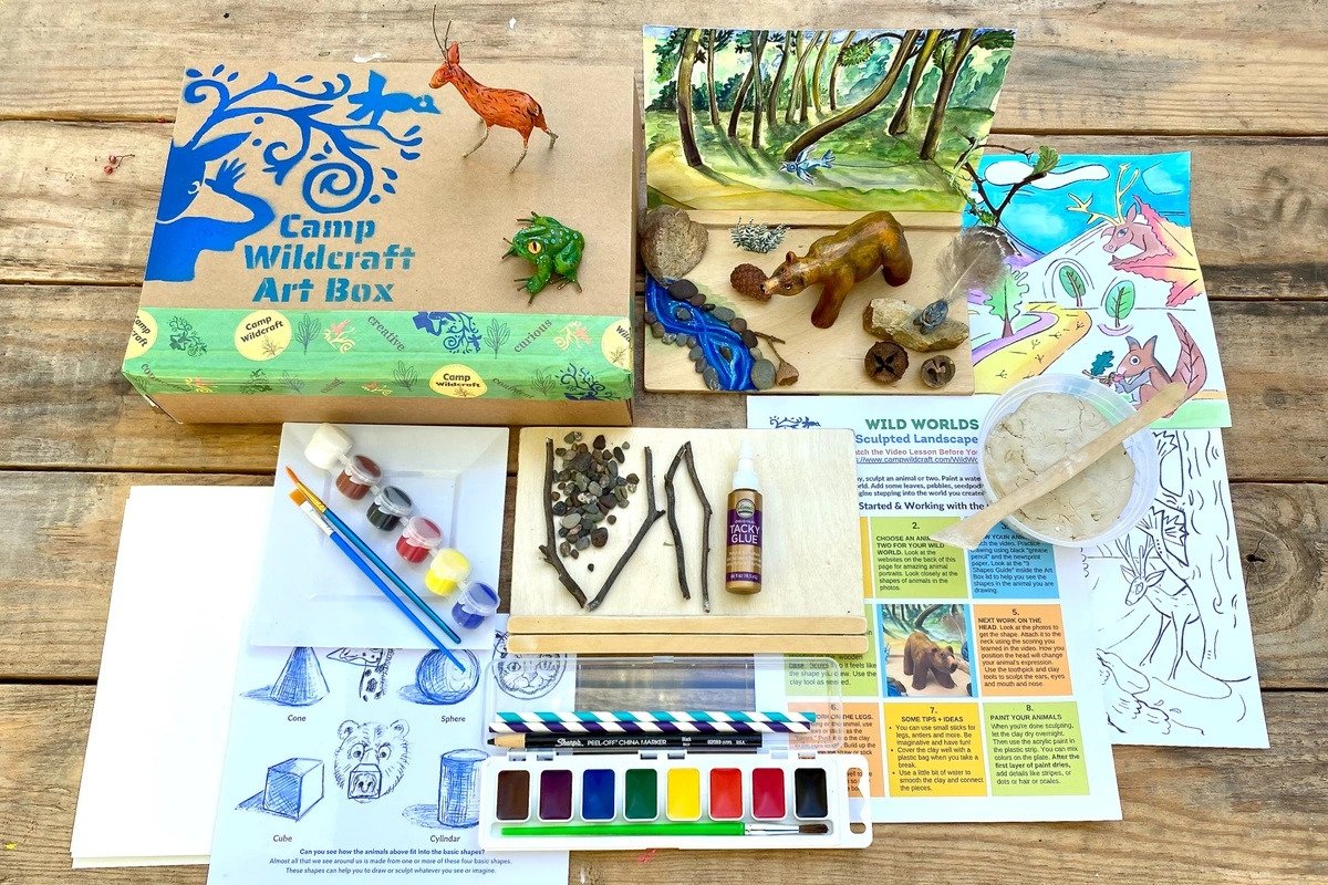 Camp Wildcraft Art Box Reviews: Get All The Details At Hello Subscription!