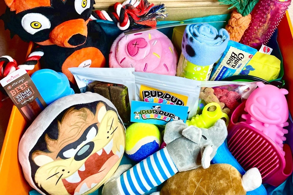 PupPup Surprise! Box Reviews: Get All The Details At Hello Subscription!