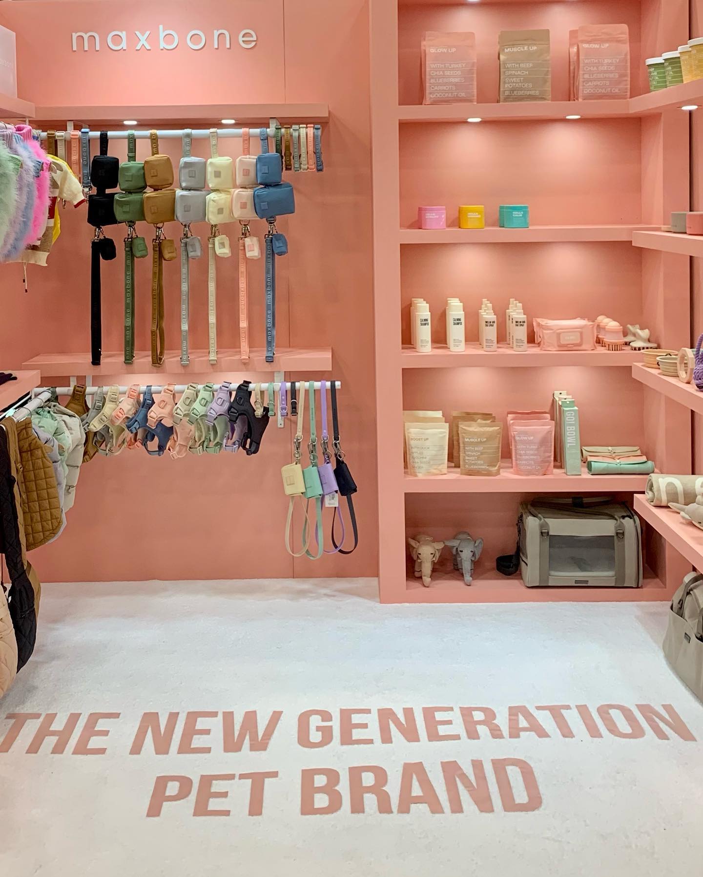 Maxbone Reviews: Get All The Details At Hello Subscription!