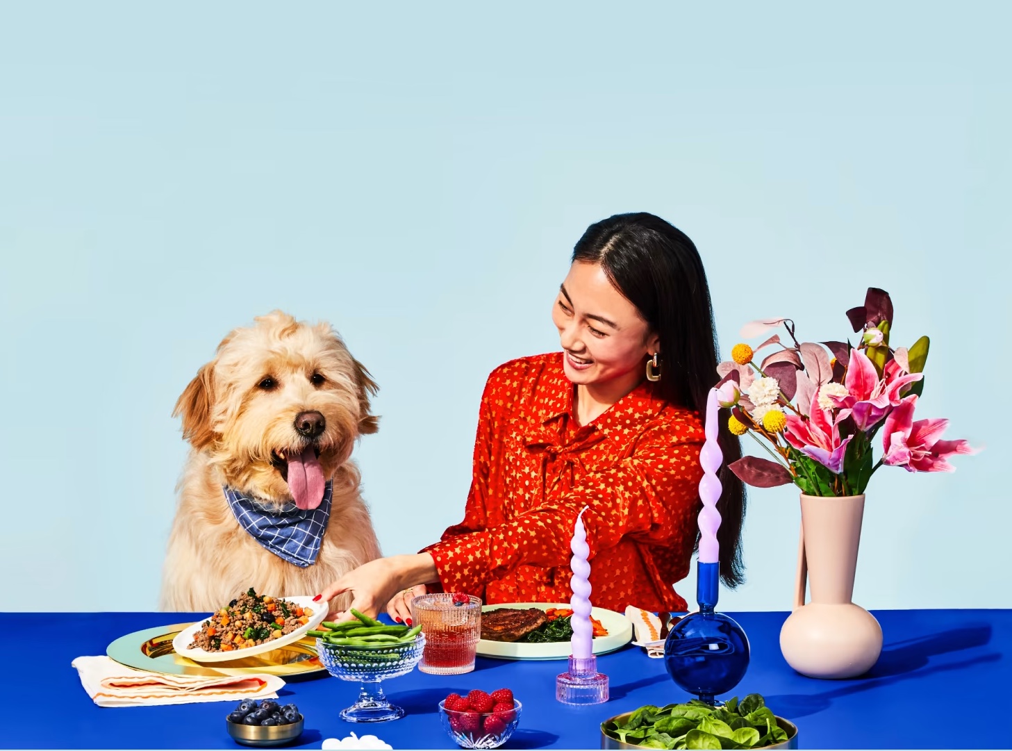 The Pets Table Reviews: Get All The Details At Hello Subscription!