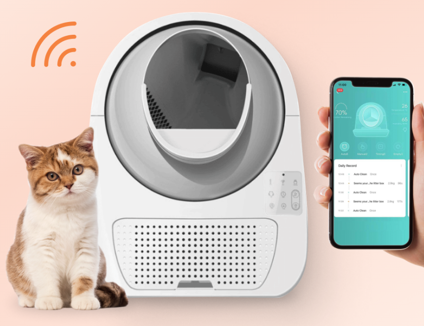 Comfy Cat Reviews: Get All The Details At Hello Subscription!