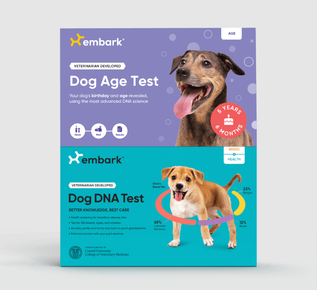 Embark Reviews: Get All The Details At Hello Subscription!